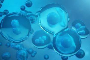 Qué es el cigoto, ¿cómo se desarrolla? - Bekia Padres